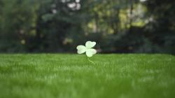 3 n clover 3D Models | Page 1 | STLFinder