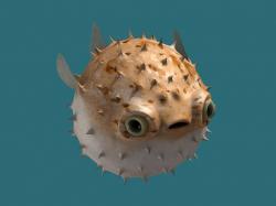 animated puffer fish 3D Models | Page 1 | STLFinder