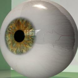 realistic human eye 3D Models | Page 1 | STLFinder