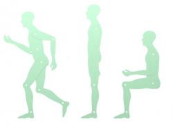 human figure template human ergie template 3D Models | Page 1 | STLFinder