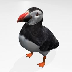 puffin models | Page 1 | STLFinder