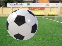 soccer ball throwing machine 3d models 【 STLFinder