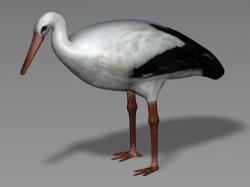 stork model | Page 1 | STLFinder