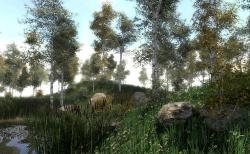 16 birch trees 3D Models | Page 1 | STLFinder