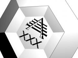 kakugane 3D Models | Page 1 | STLFinder