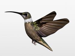 hum 3d | Page 1 | STLFinder