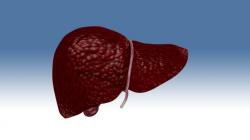 hangerbrake liver 3D Models | Page 1 | STLFinder