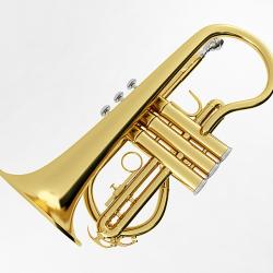 Soprano Cornet 3D Models | Page 1 | STLFinder
