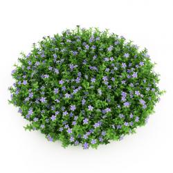 dwarf periwinkle vinca minor 3D Models | Page 1 | STLFinder