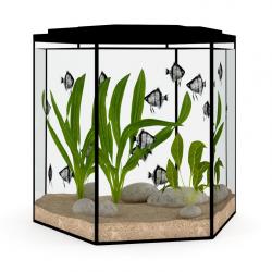 hexagonal aquarium 3D Models | Page 1 | STLFinder