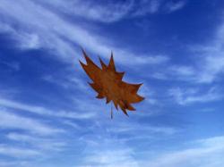 leaf 3D Models | Page 1 | STLFinder