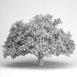 persian ironwood tree 3D Models | Page 1 | STLFinder