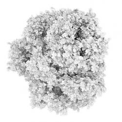 4 sinf rus tilia foodsaver 3D Models | Page 1 | STLFinder