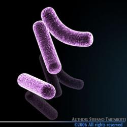anthrax bacillus anthracis 3d models | Page 1 | STLFinder