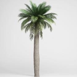 chilean models | Page 1 | STLFinder