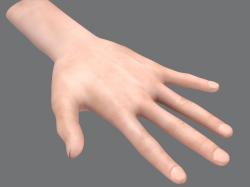rig hand 3D Models | Page 1 | STLFinder
