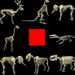 3d animal skeleton model | Page 1 | STLFinder