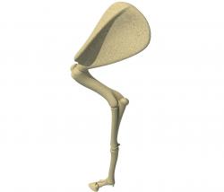 3d model of humerus | Page 1 | STLFinder