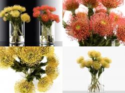 核 p model | Page 1 | STLFinder