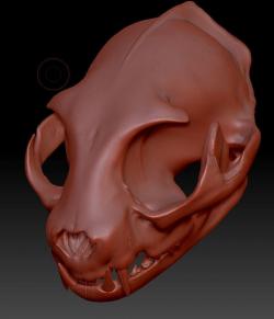 Cat skull ZBrush sculpture 3D Models | Page 1 | STLFinder