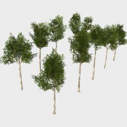 low poly birch trees collection 3D Models | Page 1 | STLFinder