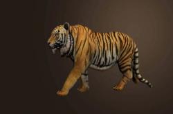 photorealistic cgi 3D Models | Page 1 | STLFinder