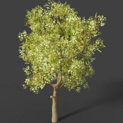 sycamore tree custom 3D Models | Page 1 | STLFinder