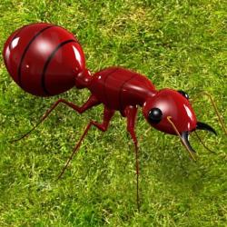 alude fourmi 3D Models | Page 1 | STLFinder