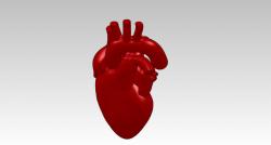 human heart stl 3D Models | Page 1 | STLFinder