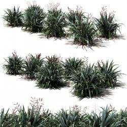 phormium tenax sundowner 3D Models | Page 1 | STLFinder