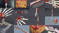 coastal indigenous container crafts abstract pattern appendage like ...