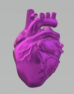 anatomical heart 3d print | Page 1 | STLFinder