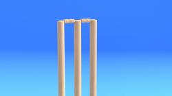 cricket stumps dimensions 3D Models | Page 1 | STLFinder