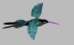 hummingbird 3d | Page 1 | STLFinder