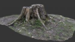 stump texture 3D Models | Page 1 | STLFinder