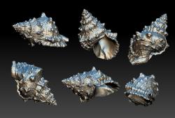 shell 3d printing | Page 1 | STLFinder