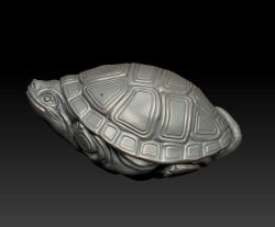 3d tortoise 【 STLFinder