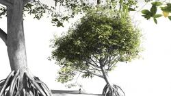 yandex 7 12 candytiny models | Page 1 | STLFinder