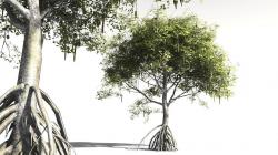 supermodels 7 17 teen models | Page 1 | STLFinder