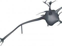 echelon neuron ndl file 3D Models | Page 1 | STLFinder