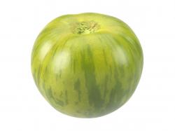 zebra scan gun model mc930p | Page 1 | STLFinder