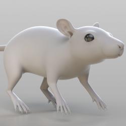 realistic rat 3D Models | Page 1 | STLFinder