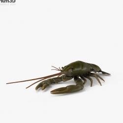 crayfish model | Page 1 | STLFinder
