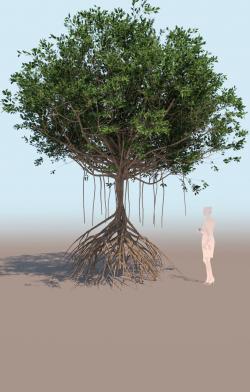 portugal underwear brand beech modal b corp mangrove 3D Models | Page 1 ...