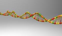 dna 3d model free | Page 1 | STLFinder