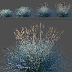 acacia glauca sketchup 3D Models | Page 1 | STLFinder