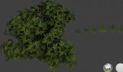 maple leaf stamp 3d models | Page 1 | STLFinder