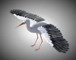 low poly white stork 3d model fully rigged | Page 1 | STLFinder