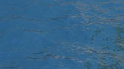 betsie the bat sea star stl free 3D Models | Page 1 | STLFinder