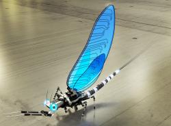 ephemera insect 3D Models | Page 1 | STLFinder